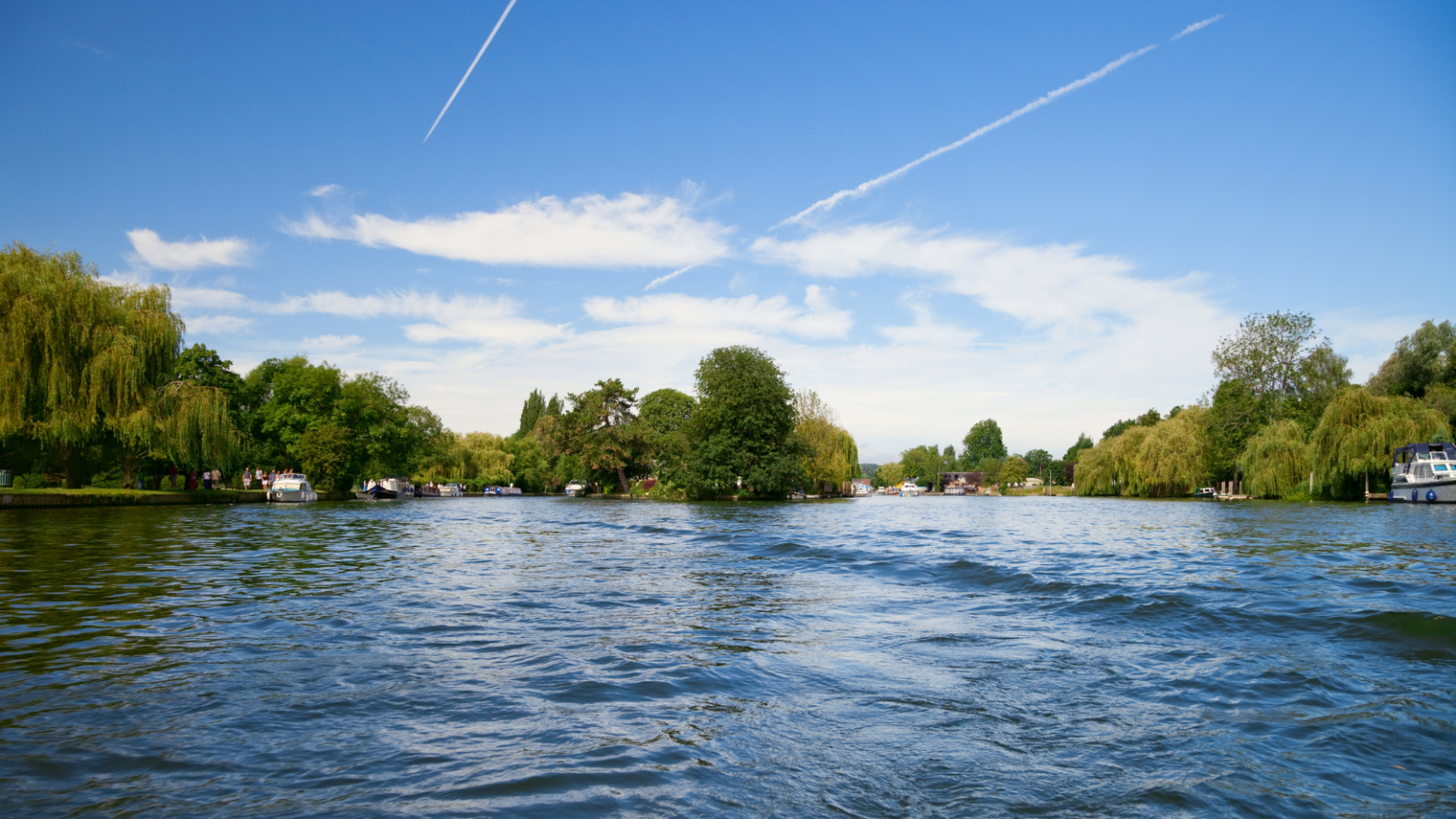River Action's open letter to Thames Water - River Action UK