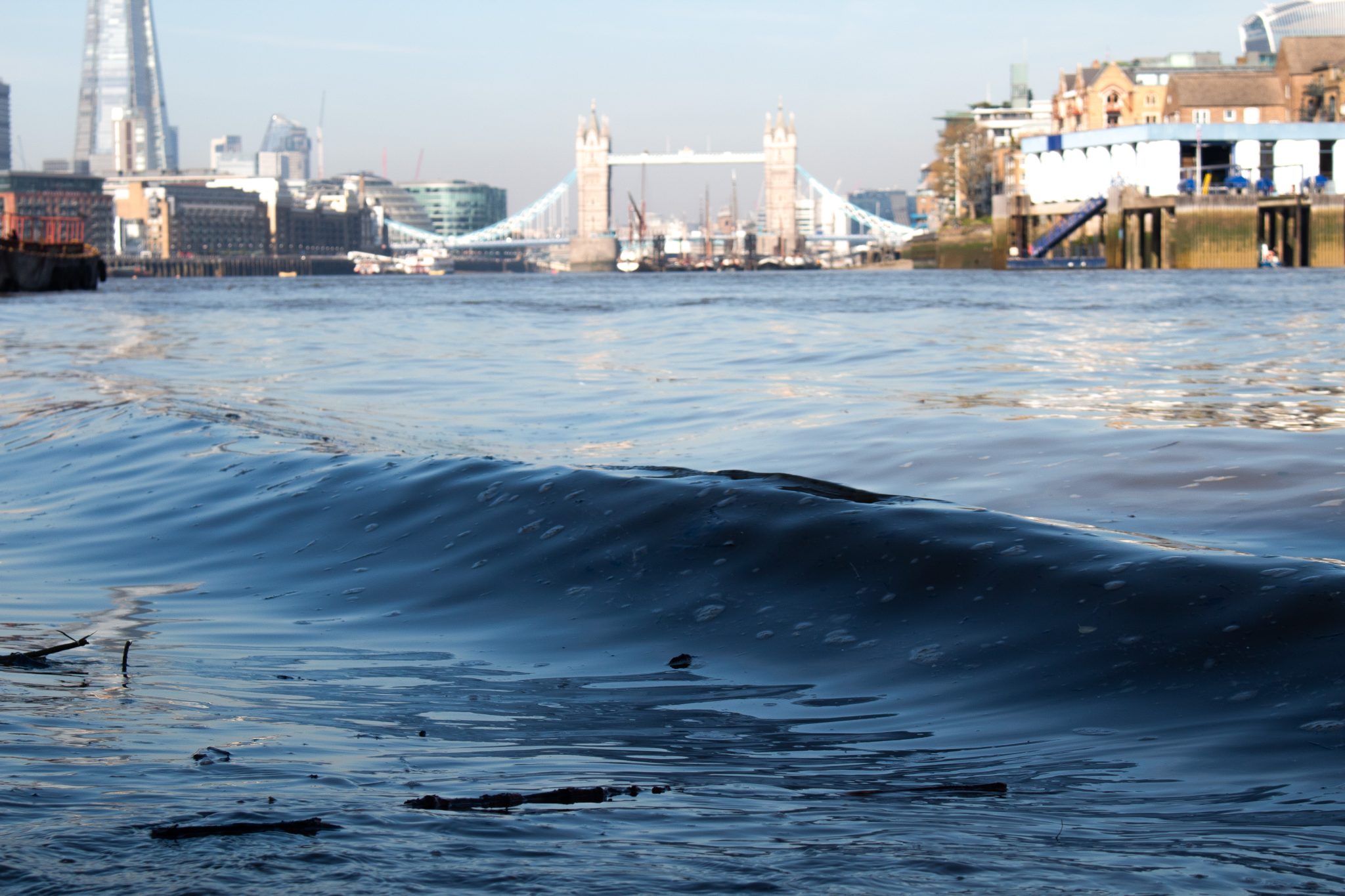 Introducing River of the Month - The River Mole - River Action UK