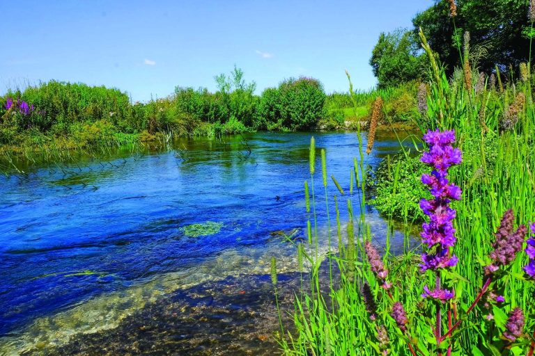 Plans for 32,000-bird “Megafarm” on the River Kennet Rejected - River ...